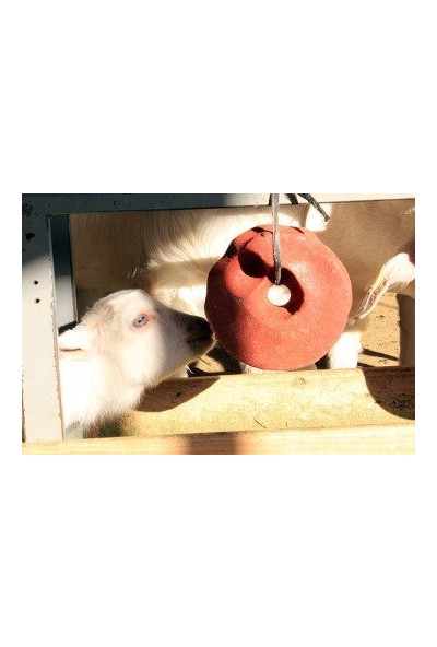 Royal İlaç Selco Block 3 kg - Yalama Taşı - 8 Adet Royal İlaç Selco Block 3 kg - Yalama Taşı - 8 Adet