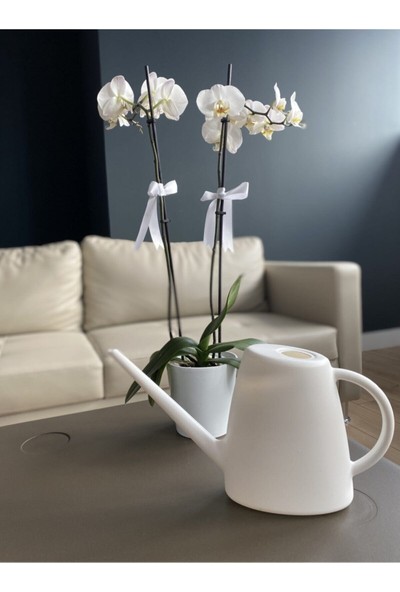 Aslife Çiçek Sulama Kabı 1,7 Litre Aslife Çiçek Sulama Kabı 1,7 Litre