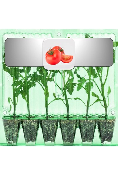 Fide Vadisi Sırık Domates Fidesi (6’lı Ambalaj) Fide Vadisi Sırık Domates Fidesi (6’lı Ambalaj)