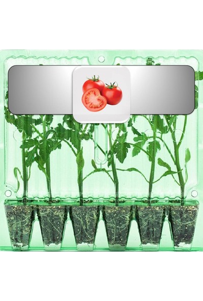 Fide Vadisi Oturak Domates Fidesi (6’lı Ambalaj) Fide Vadisi Oturak Domates Fidesi (6’lı Ambalaj)