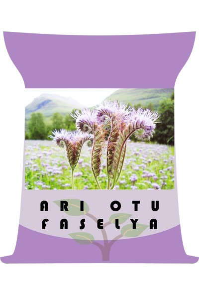 Tarım Evim Arı Otu Tohumu Faselya 1 kg