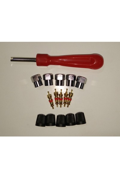 Bsr Lastik Siboplarının Iğne-Kapak Yedek Seti ve El Aleti