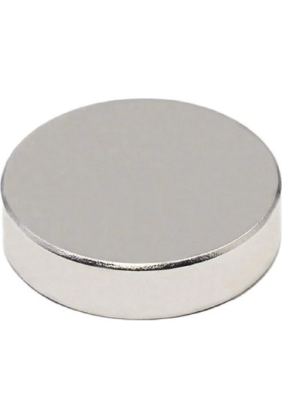 Ece Neodim Neodyum Mıknatıs Ø20mm x 5mm 6 Adet Ece Neodim Neodyum Mıknatıs Ø20mm x 5mm 6 Adet