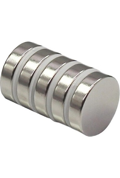 Ece Neodim Neodyum Mıknatıs Ø15 mm x 5 mm 12 Adet Ece Neodim Neodyum Mıknatıs Ø15 mm x 5 mm 12 Adet