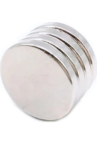 Ece Neodim Neodyum Mıknatıs Ø18mm x 3mm 12 Adet Ece Neodim Neodyum Mıknatıs Ø18mm x 3mm 12 Adet