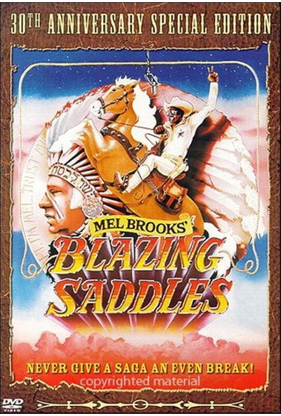 Gümüş Eyerler (Blazing Saddles) (Dvd)