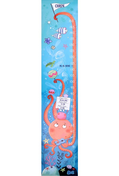 Sihirli Yolculuk Boy Cetvelim