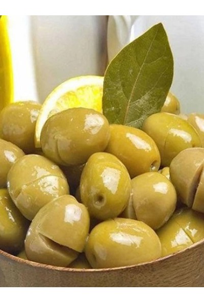 Ada Tarım 1'li Ayvalık Edremit Zeytin Fidanı Tüplü Yaş 1 Boy 1,5 m Ada Tarım 1'li Ayvalık Edremit Zeytin Fidanı Tüplü Yaş 1 Boy 1,5 m