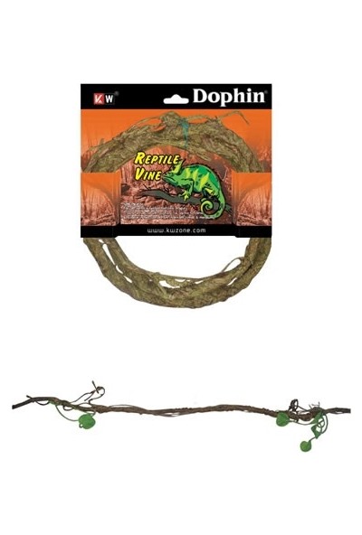 Dophin Sürüngen Aksesuar S