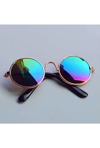 Lion Kedi ve Küçük Irk Köpek Güneş Gözlüğü