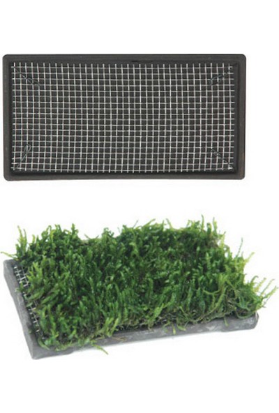 Ista Bitki Taban Seramik 5X10 cm cm Dikdörtgen Ista Bitki Taban Seramik 5X10 cm cm Dikdörtgen