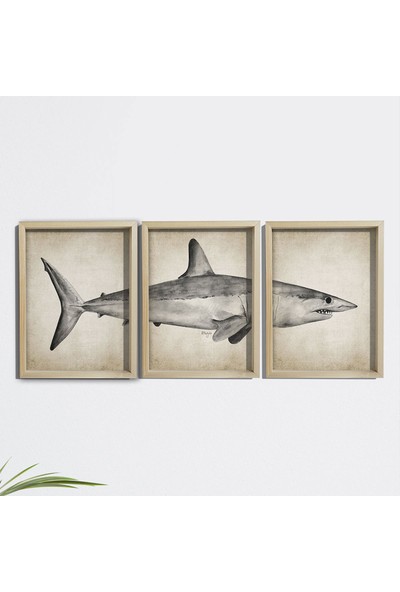 DekorLoft Doğal Çam Çerçeveli Duvar Tablosu Mako Köpekbalığı Triptik Boyama DekorLoft Doğal Çam Çerçeveli Duvar Tablosu Mako Köpekbalığı Triptik Boyama