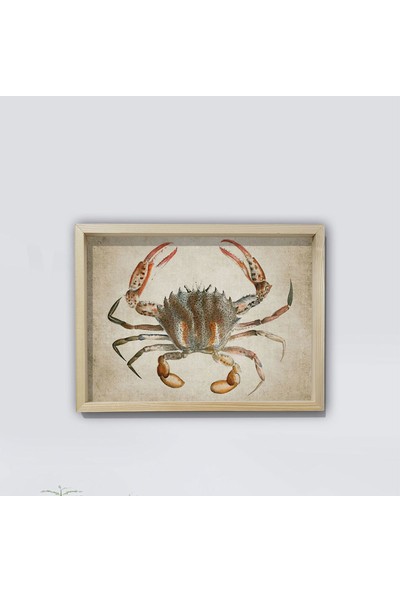 DekorLoft Doğal Çam Çerçeveli Duvar Tablosu Antik Yengeç DekorLoft Doğal Çam Çerçeveli Duvar Tablosu Antik Yengeç