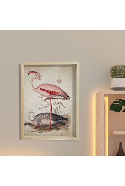 DekorLoft Doğal Çam Çerçeveli Duvar Tablosu Antik Flamingo