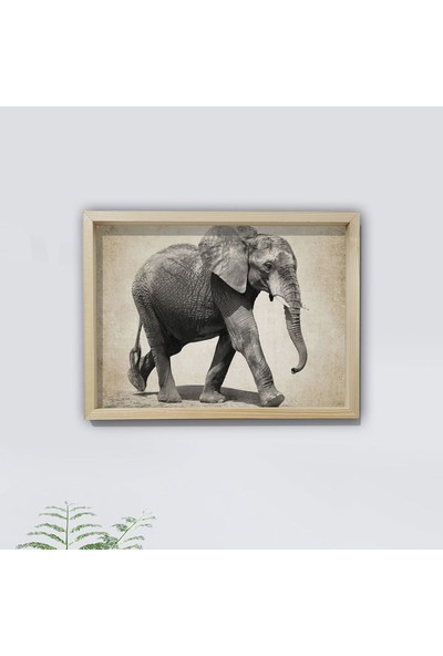 DekorLoft Doğal Çam Çerçeveli Duvar Tablosu Antik Fil DekorLoft Doğal Çam Çerçeveli Duvar Tablosu Antik Fil