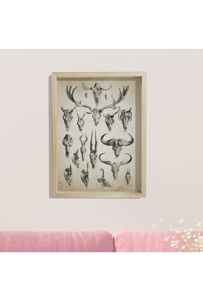 DekorLoft Doğal Çam Çerçeveli Duvar Tablosu Antik Geyik Boynuzları DekorLoft Doğal Çam Çerçeveli Duvar Tablosu Antik Geyik Boynuzları