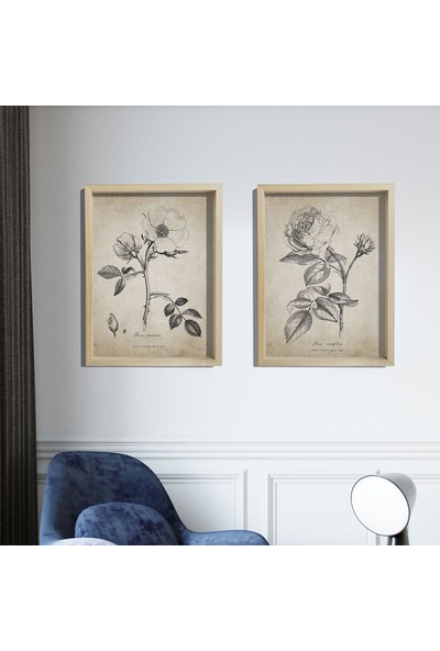 DekorLoft Doğal Çam Çerçeveli Duvar Tablosu Antik Gül Botanik Sanatı DekorLoft Doğal Çam Çerçeveli Duvar Tablosu Antik Gül Botanik Sanatı