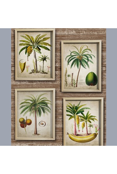 DekorLoft Doğal Çam Çerçeveli Duvar Tablosu Antik Muz Ağacı ve Palmiye Seti DekorLoft Doğal Çam Çerçeveli Duvar Tablosu Antik Muz Ağacı ve Palmiye Seti