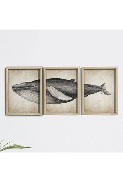 DekorLoft Doğal Çam Çerçeveli Denizci Odası Duvar Tablosu Antik Mavi Balina DekorLoft Doğal Çam Çerçeveli Denizci Odası Duvar Tablosu Antik Mavi Balina