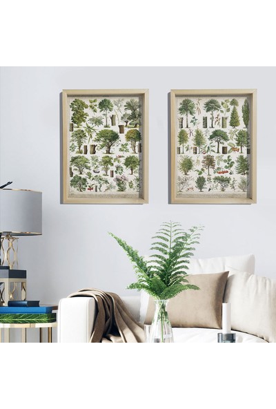 DekorLoft Doğal Çam Çerçeveli Duvar Tablosu Antik Ağaçlar ve Isimleri DekorLoft Doğal Çam Çerçeveli Duvar Tablosu Antik Ağaçlar ve Isimleri