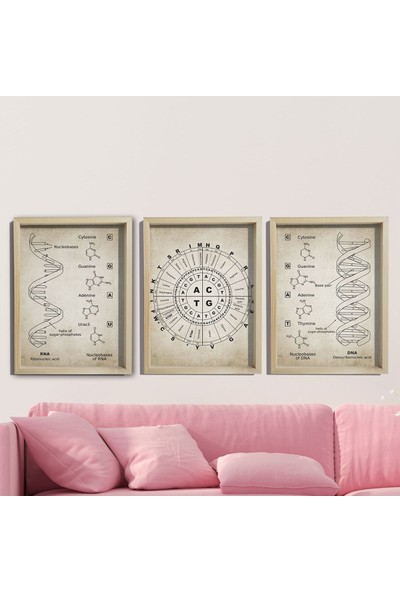 DekorLoft Doğal Çam Çerçeveli Duvar Tablosu Antik Dna ve Rna Genetik Kod Seti DekorLoft Doğal Çam Çerçeveli Duvar Tablosu Antik Dna ve Rna Genetik Kod Seti