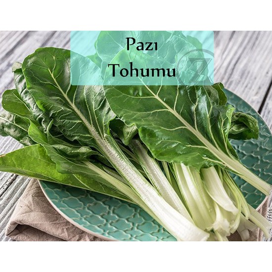 Zencefil Organik Pazı Tohumu 1 Paket (10GR=1000+ Adet) Fiyatı