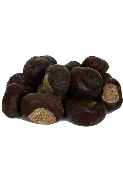 Doğan At Kestanesi Meyvesi 1000 gr Doğan At Kestanesi Meyvesi 1000 gr