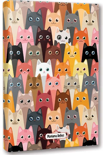 Halk Kitabevi Sivri Kulaklar Planlama Defteri 13.5 x 19.5 cm