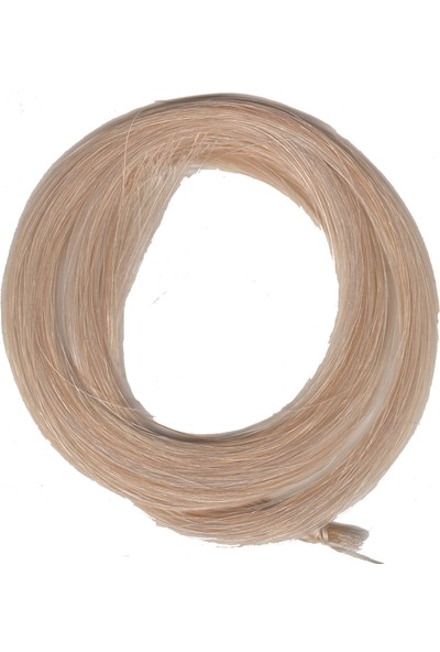 Moğol Keman Arşe Kılı