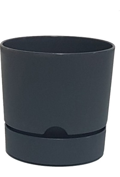 Poliwork Begonya 18 cm Antrasit Tabaklı Saksı