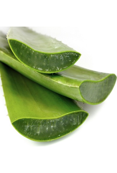 Naturel Tohum Aloe Vera Jel Yaprağı Hammadde 2000 gr