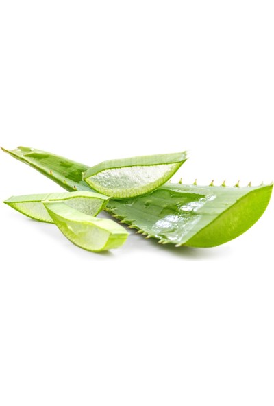 Naturel Tohum Aloe Vera Jel Yaprağı Hammadde 1000 gr