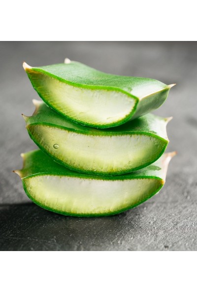Naturel Tohum Aloe Vera Jel Yaprağı Hammadde 3000 gr