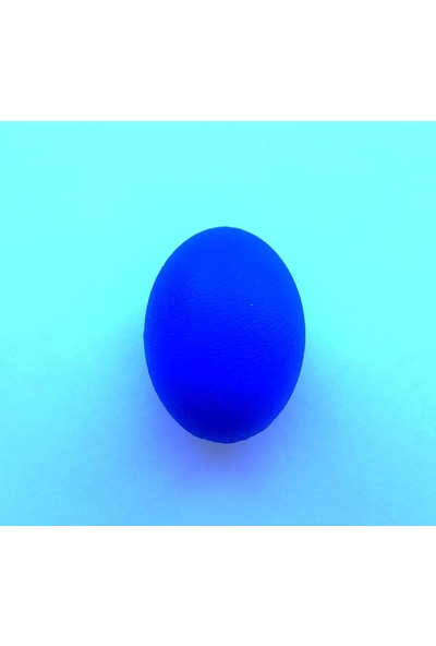 Berger Silikon El Rehabilitasyon Topu Mavi Orta Sert