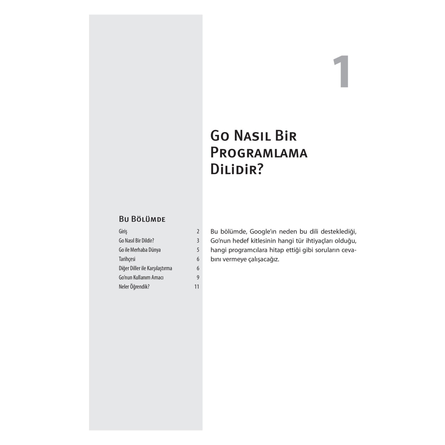 Dikeyeksen Yayın Dağıtım Go Programlama - Murat Özalp Kitabı