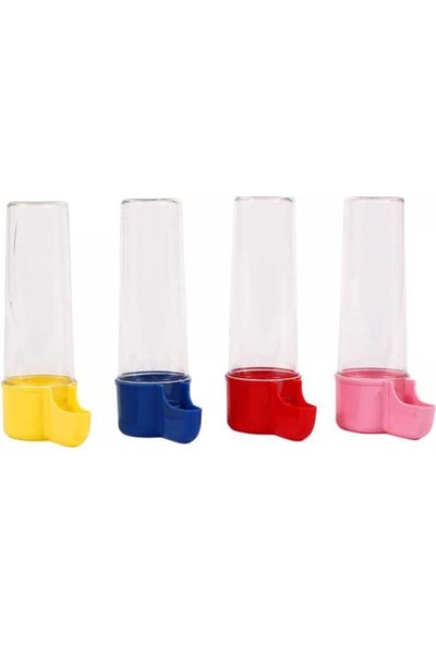 Kanarya Suluğu 24lü.