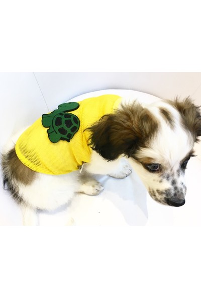 Dogi & Dog Turtle File Köpek Atleti-Köpek Elbisesi-Köpek Kiyafeti-Kedi Kiyafeti