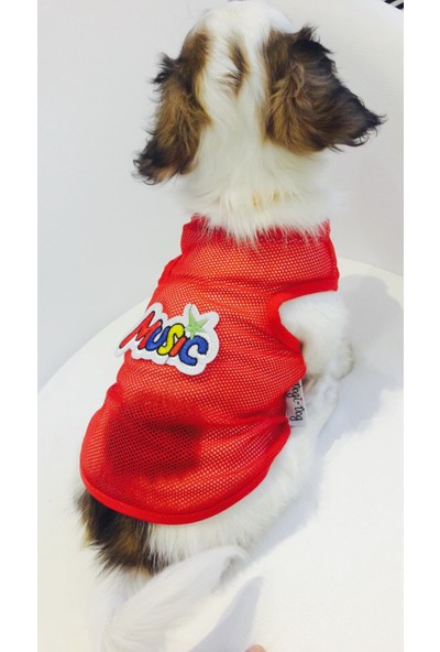 Dogi & Dog Music File Atlet