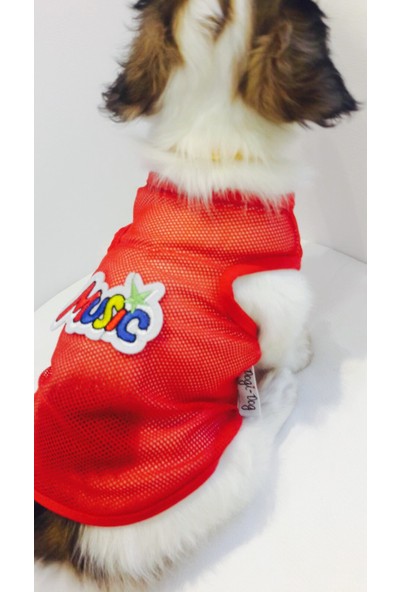 Dogi & Dog Music File Atlet