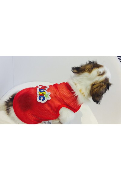 Dogi & Dog Music File Atlet