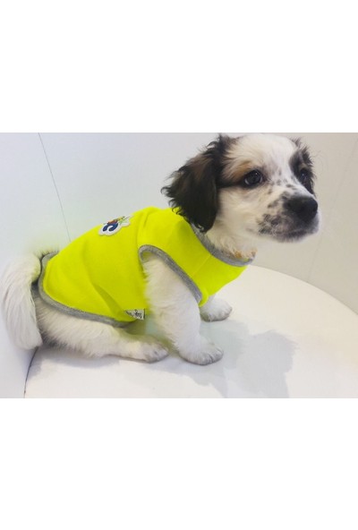 Dogi & Dog Neon Music Köpek Atleti-Köpek Kiyafeti-Köpek Elbisesi-Kedi Kiyafeti Dogi & Dog Neon Music Köpek Atleti-Köpek Kiyafeti-Köpek Elbisesi-Kedi Kiyafeti