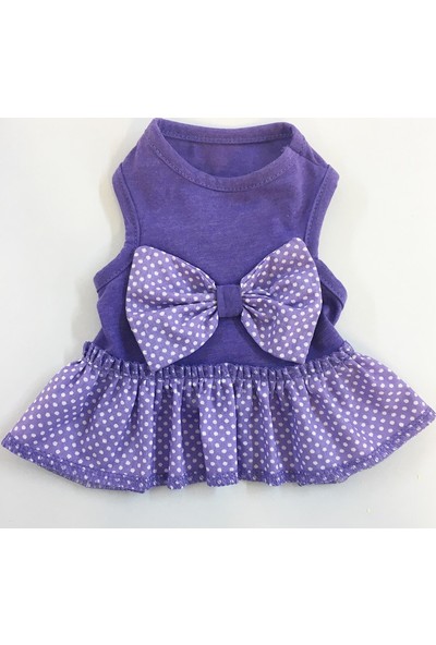 Dogi & Dog& Dog Mor Puantiye Elbise