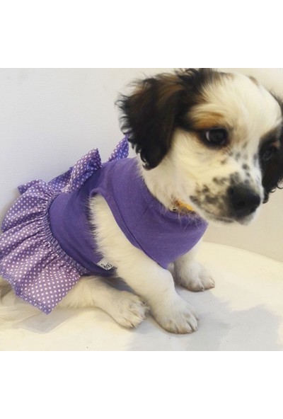 Dogi & Dog& Dog Mor Puantiye Elbise