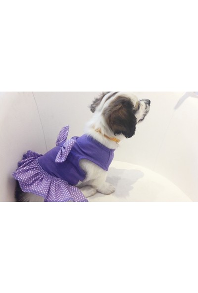 Dogi & Dog& Dog Mor Puantiye Elbise