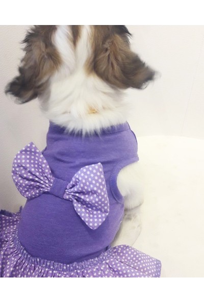 Dogi & Dog& Dog Mor Puantiye Elbise