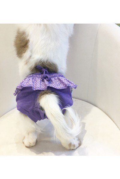 Dogi & Dog Mor Puantiyeli Regl Kilotu Köpek İç Çamaşırı Dogi & Dog Mor Puantiyeli Regl Kilotu Köpek İç Çamaşırı