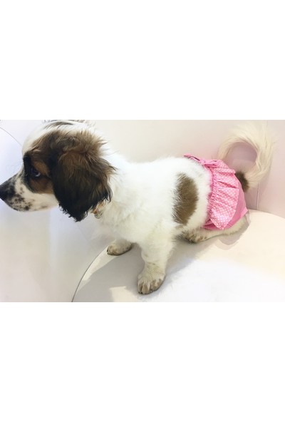 Dogi & Dog Pembe Puantiyeli Regl Kilotu , Köpek İç Çamaşırı Dogi & Dog Pembe Puantiyeli Regl Kilotu , Köpek İç Çamaşırı