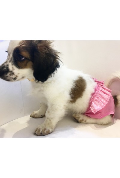 Dogi & Dog Pembe Puantiyeli Regl Kilotu , Köpek İç Çamaşırı Dogi & Dog Pembe Puantiyeli Regl Kilotu , Köpek İç Çamaşırı