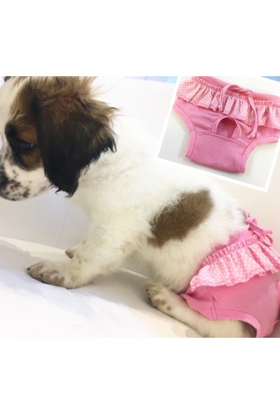 Dogi & Dog Pembe Puantiyeli Regl Kilotu , Köpek İç Çamaşırı Dogi & Dog Pembe Puantiyeli Regl Kilotu , Köpek İç Çamaşırı