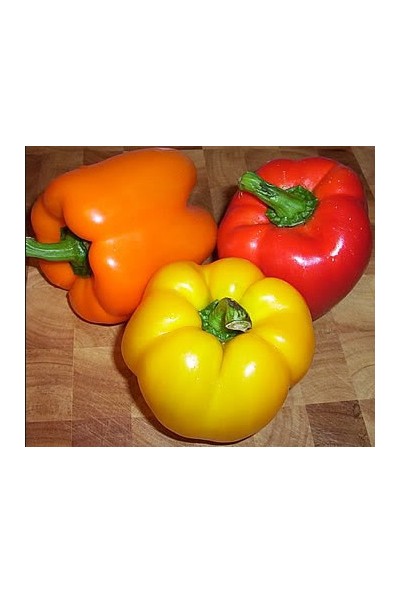 Tohum Diyarı California Renkli Dolma Biber Tohumu 10 Tohum Tohum Diyarı California Renkli Dolma Biber Tohumu 10 Tohum